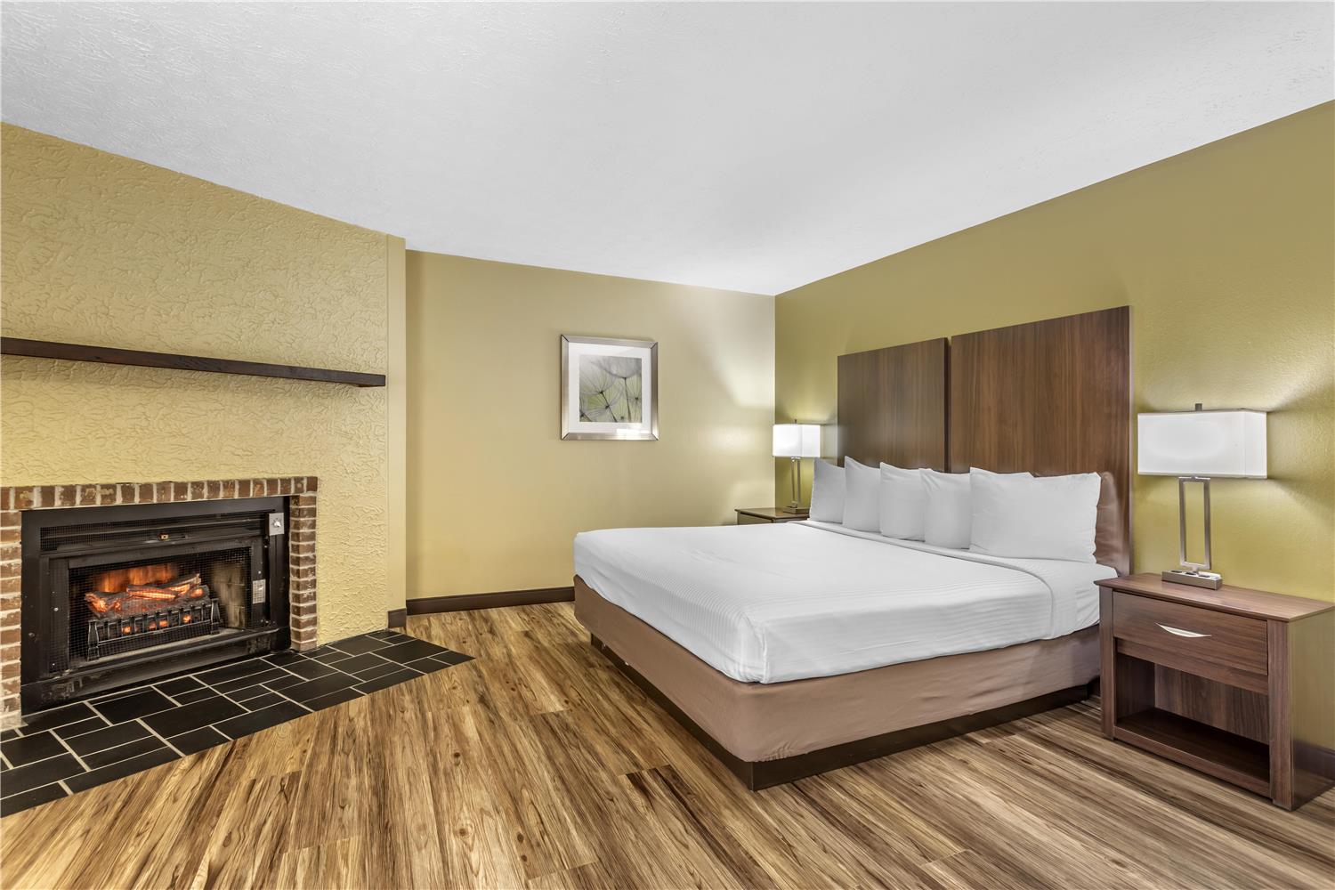 Interesting Best Western Plaza Inn Pigeon Forge Bed Bugs Photos