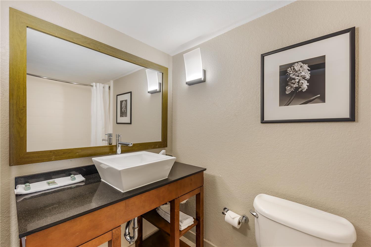 Best Western Alamo Suites | Rooms & Rates