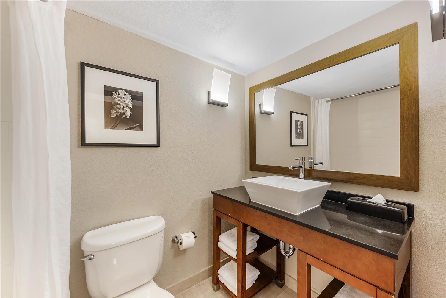 Best Western Alamo Suites | Rooms & Rates