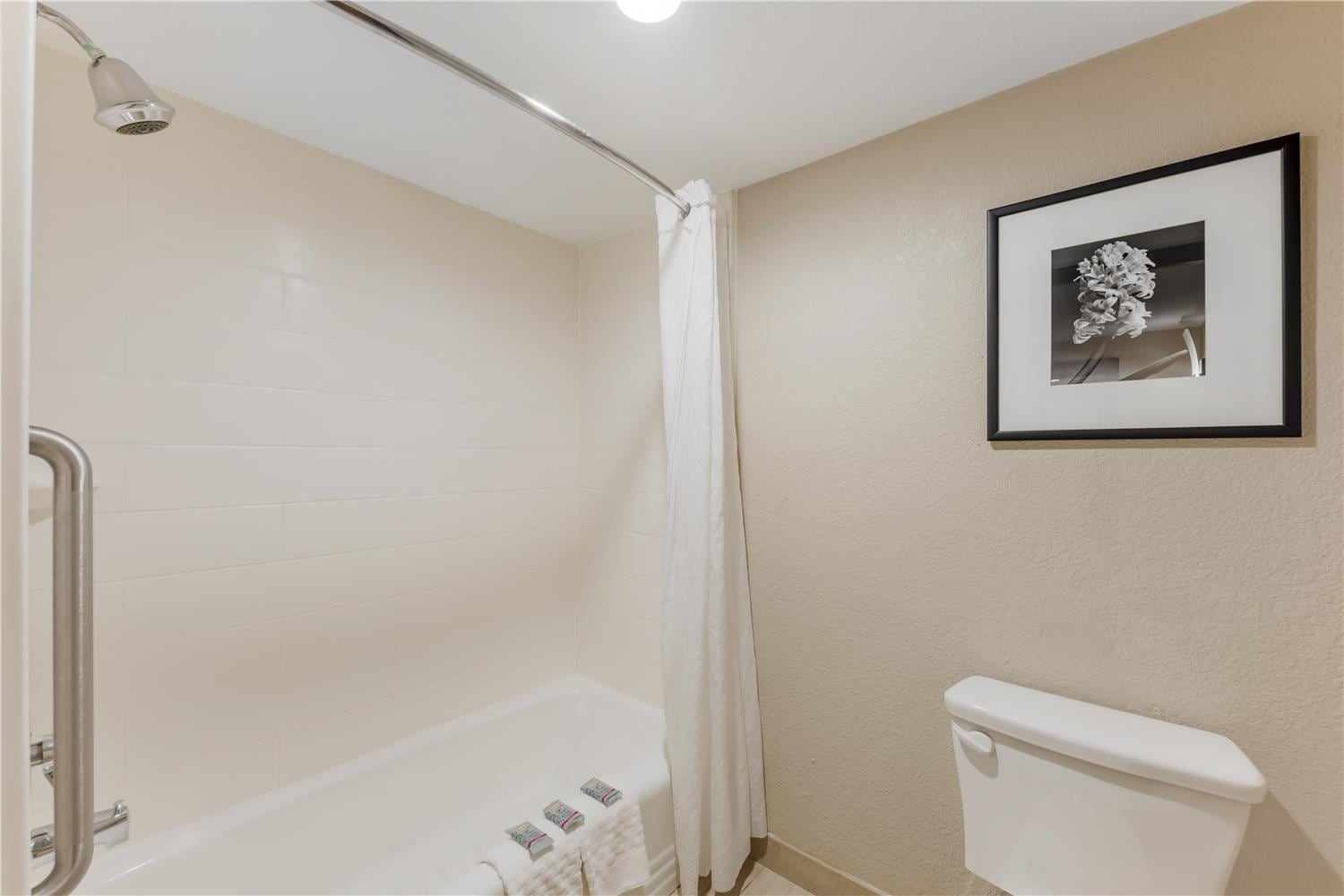 Best Western Alamo Suites | Rooms & Rates