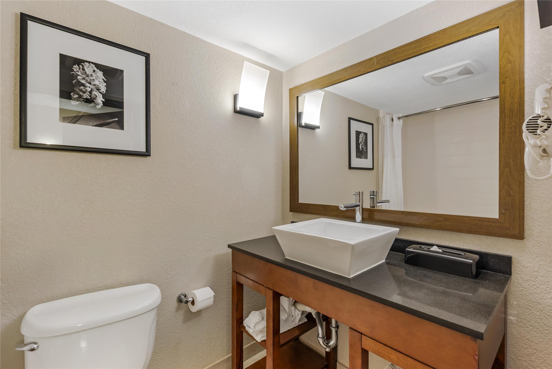 Best Western Alamo Suites | Rooms & Rates