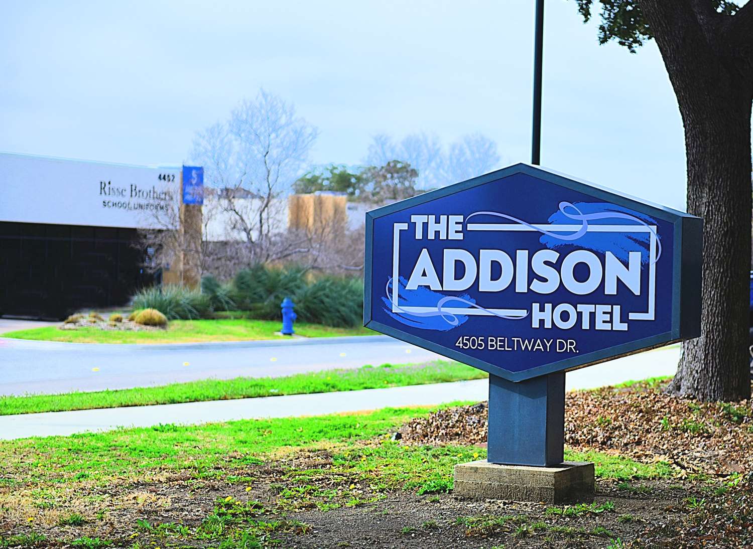 The Addison Hotel, SureStay Collection by Best Western | Hotel Rooms