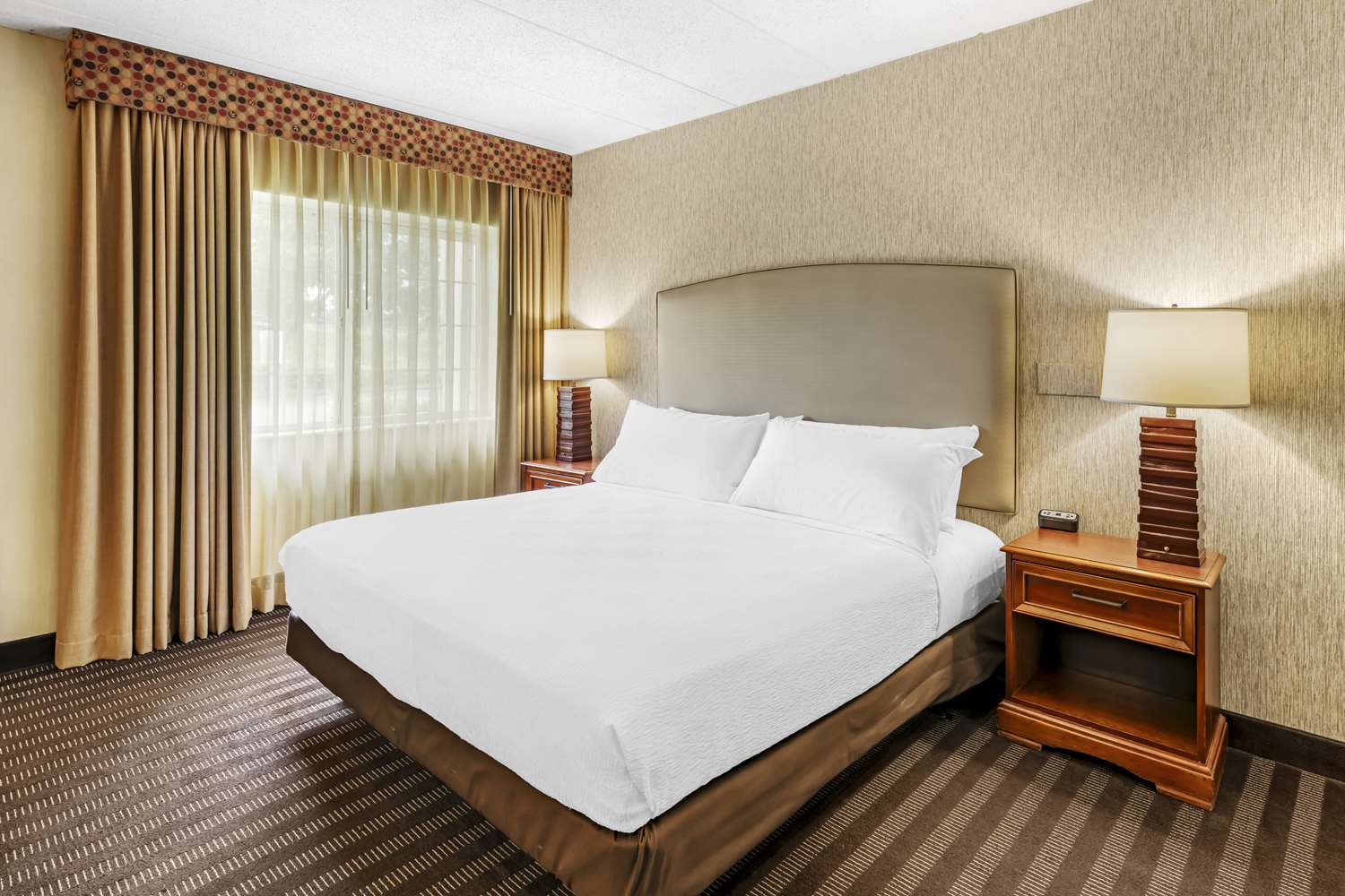 Best Western Springfield | Rooms & Rates