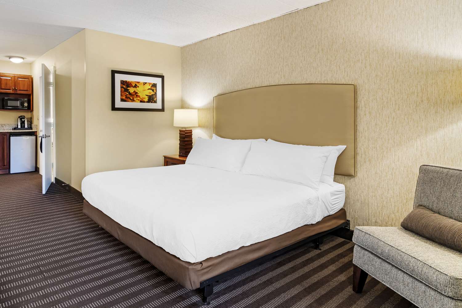 Best Western Springfield | Rooms & Rates
