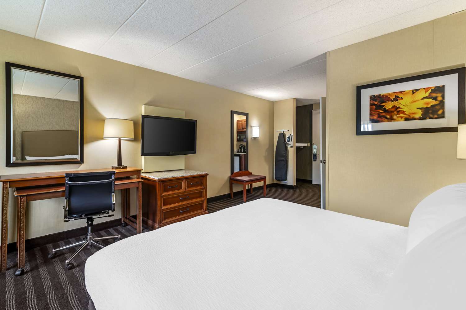 Best Western Springfield | Rooms & Rates