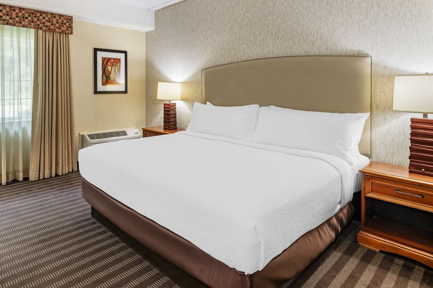 Best Western Springfield | Rooms & Rates