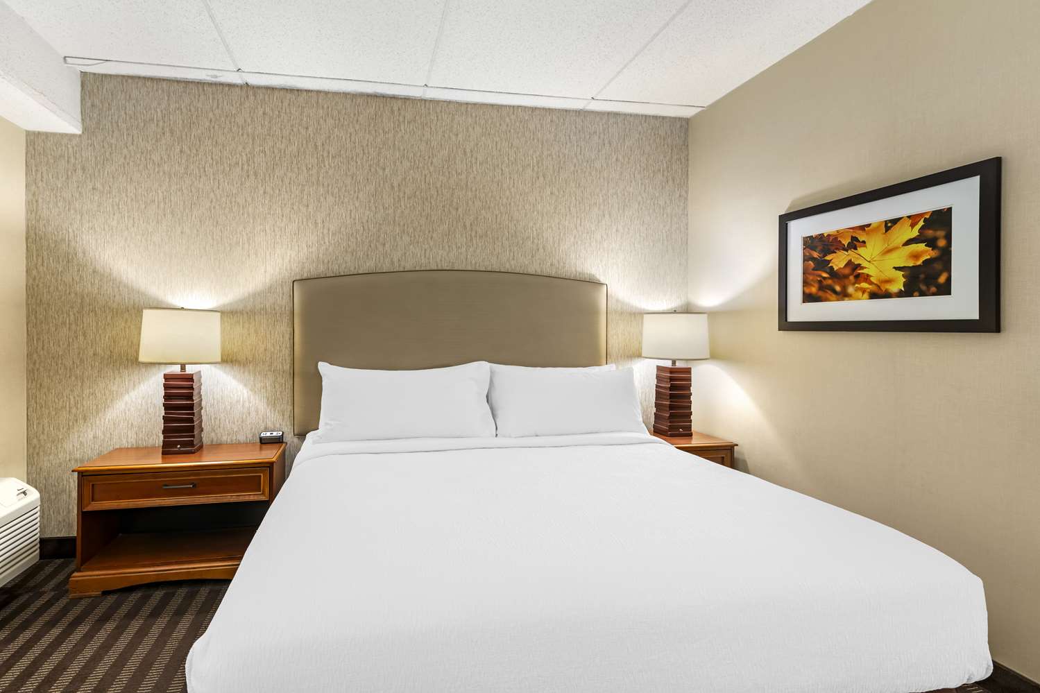 Best Western Springfield | Rooms & Rates