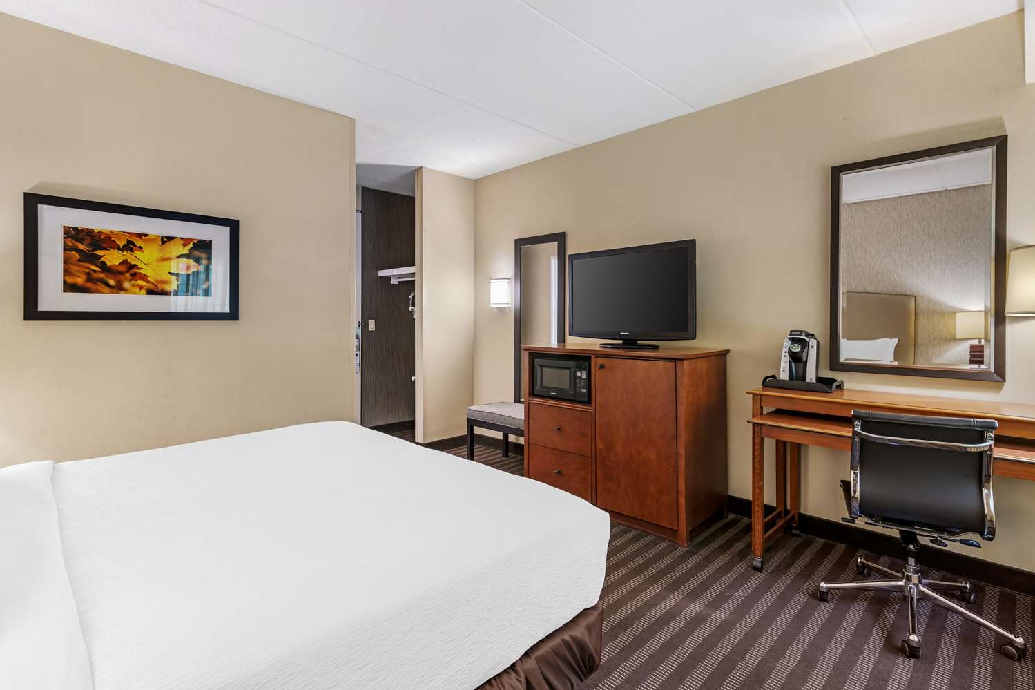 Best Western Springfield | Rooms & Rates