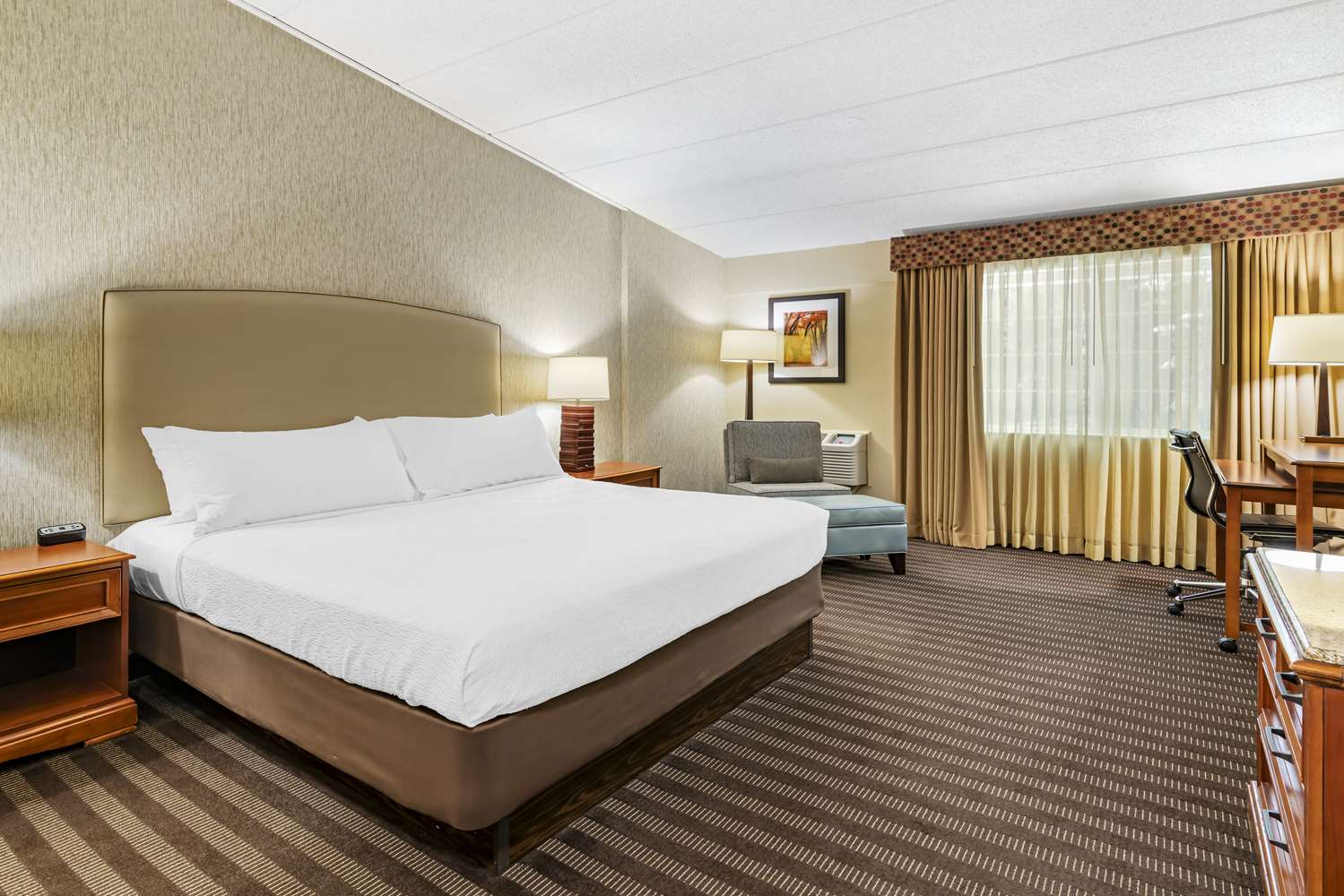 Best Western Springfield | Rooms & Rates