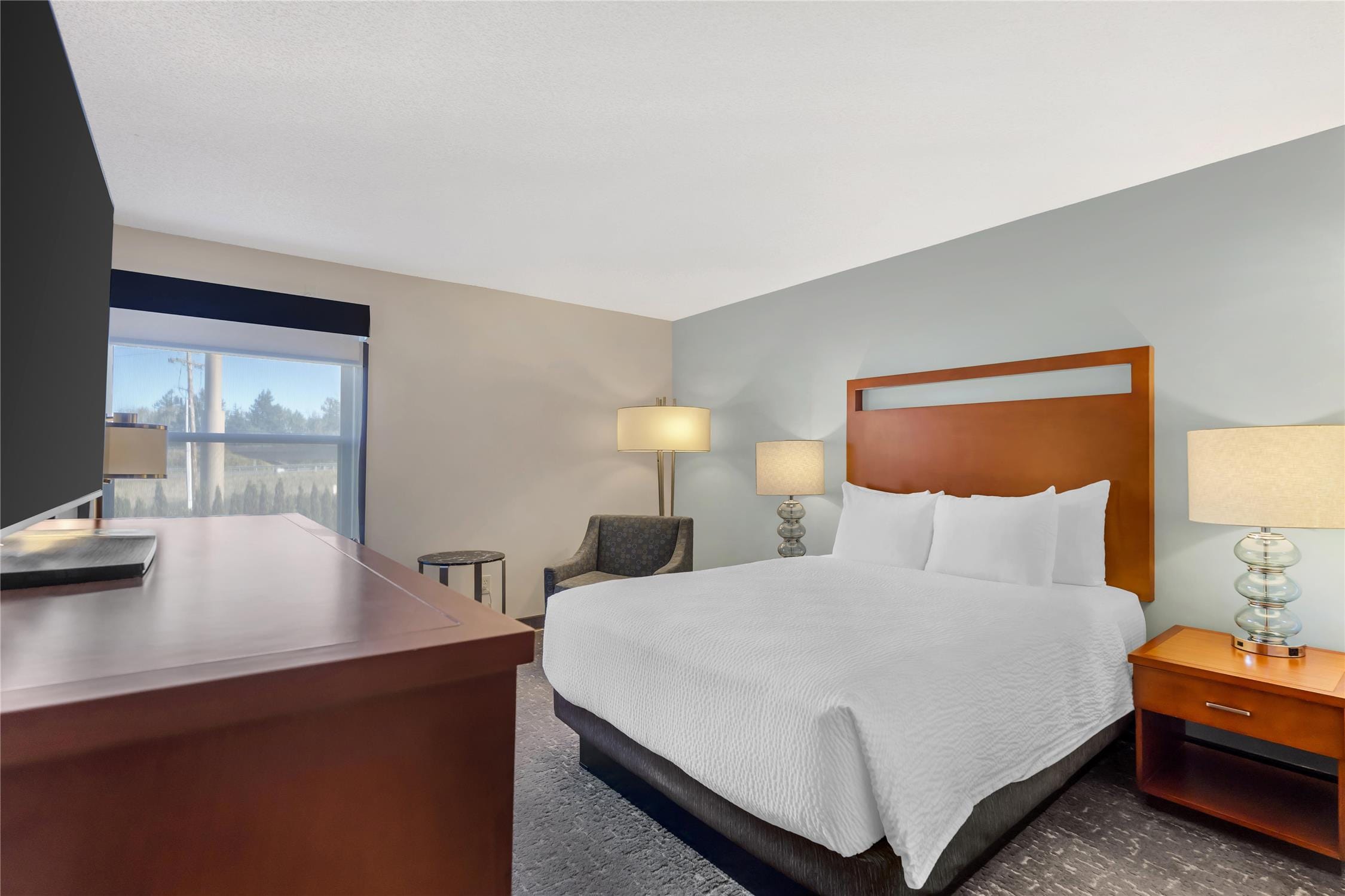 Best Western Plus Bellingham Airport Hotel | Rooms & Rates