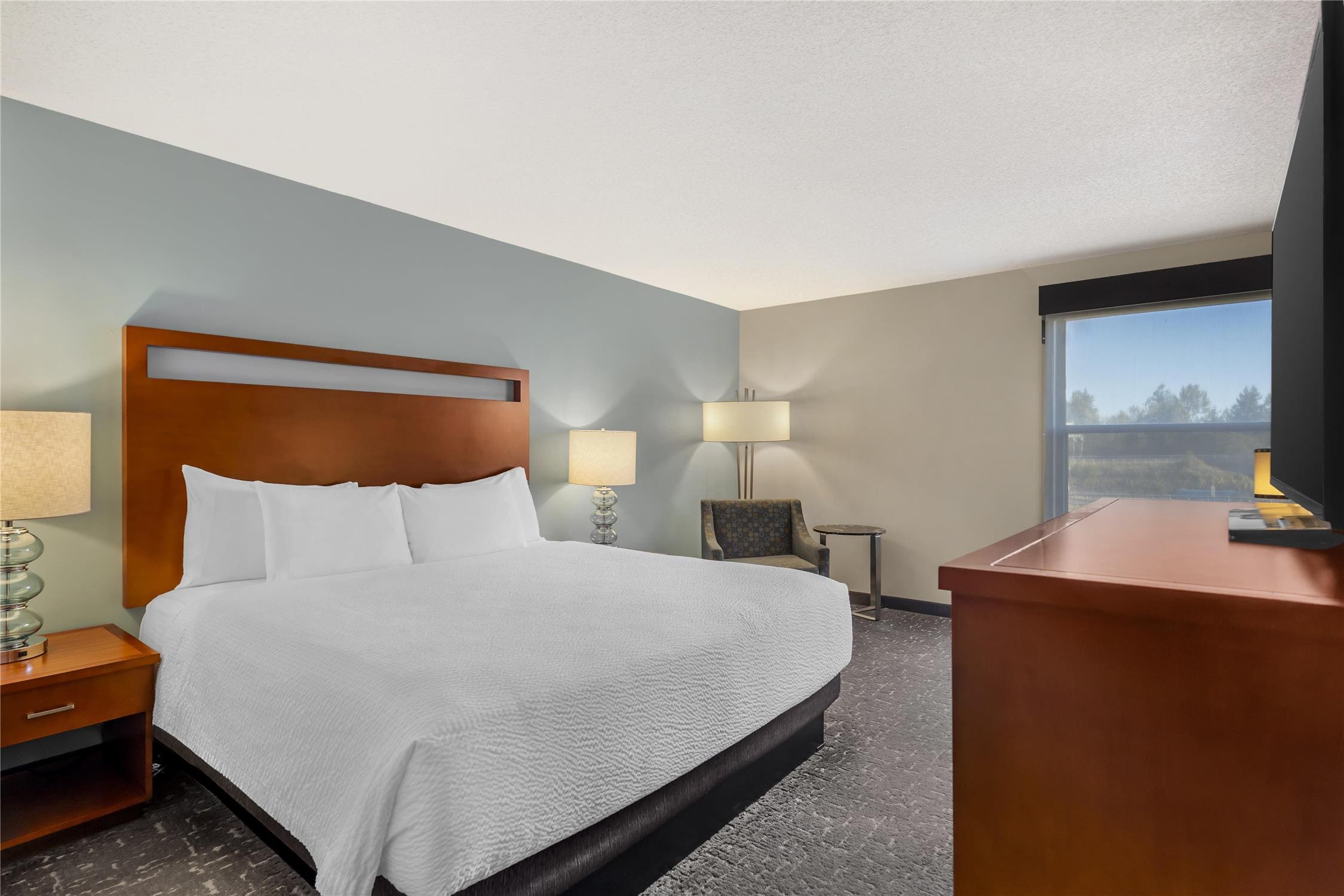 Best Western Plus Bellingham Airport Hotel | Rooms & Rates