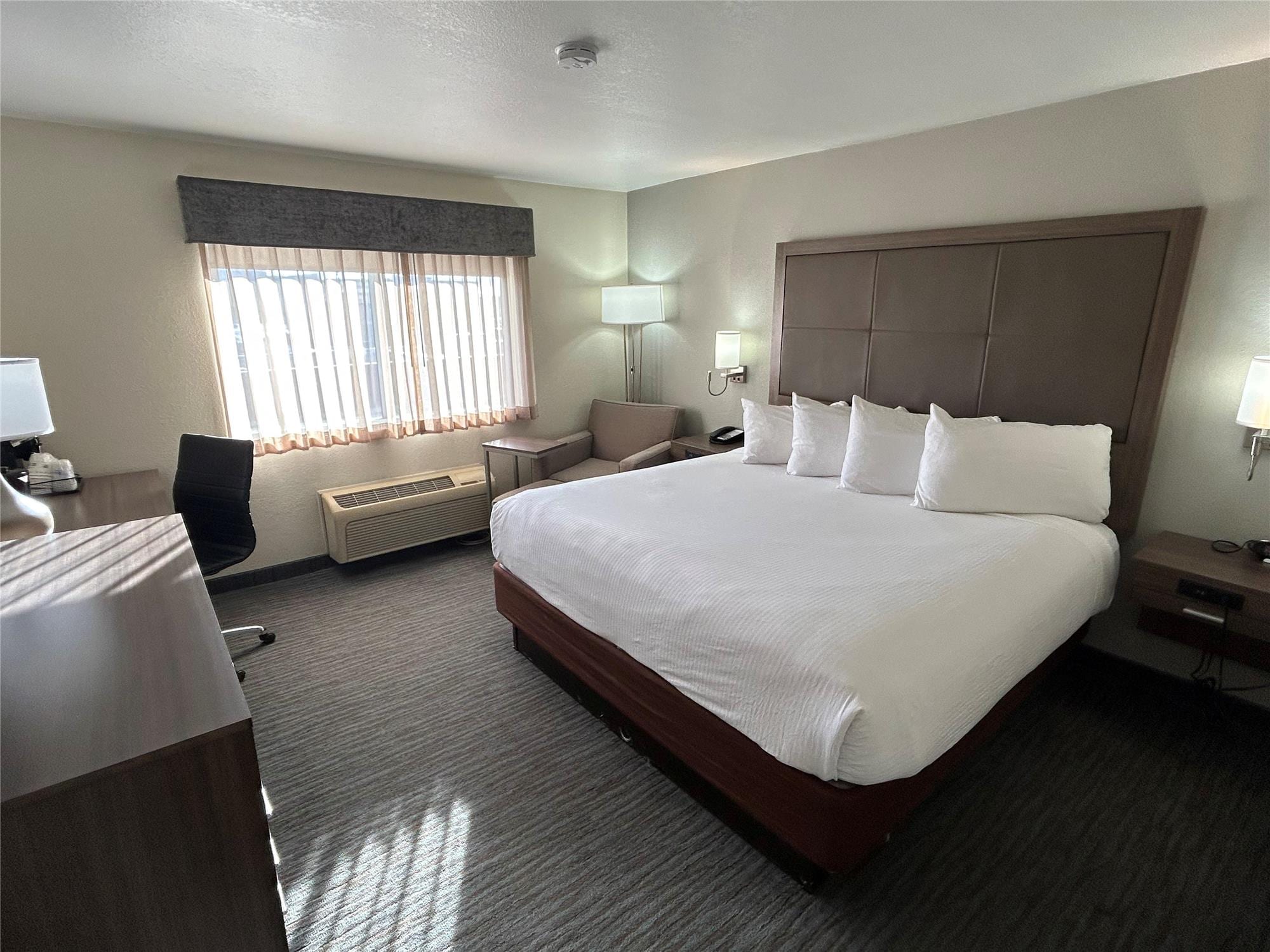 Hotel in Appleton | Best Western Plus Paper Valley Hotel