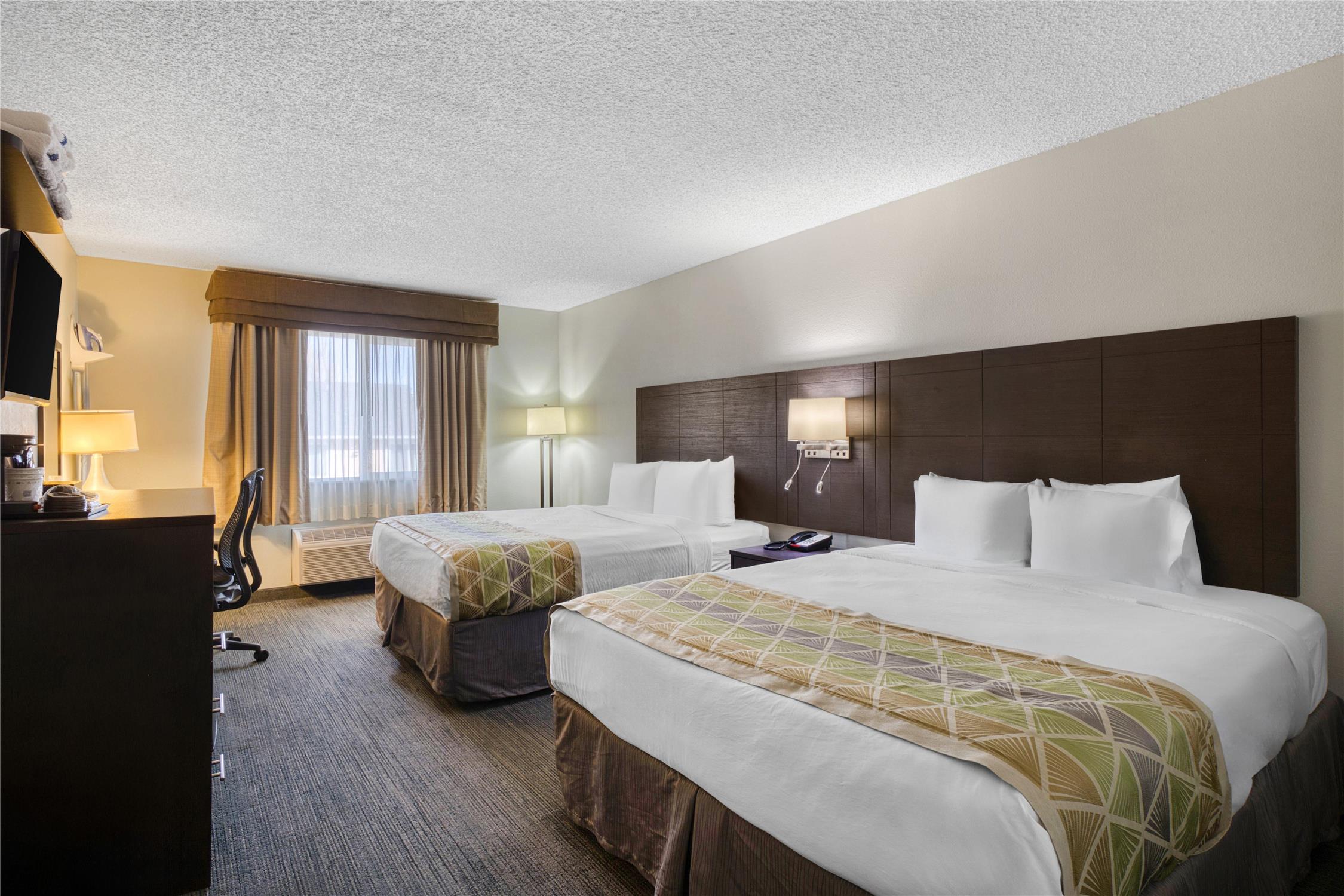 SureStay Plus Montrose | Rooms & Rates in Montrose