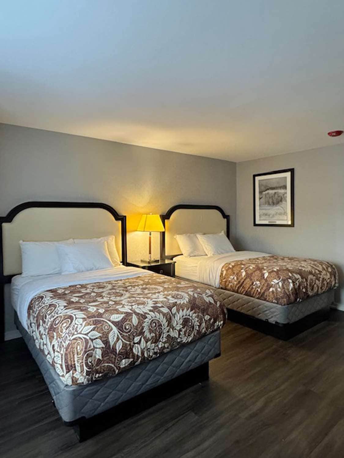 Big Bird Inn Wawa SureStay Collection by Best Western Rooms