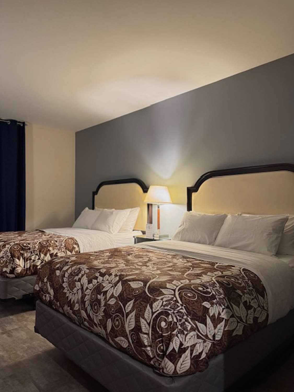 Big Bird Inn Wawa SureStay Collection by Best Western Rooms