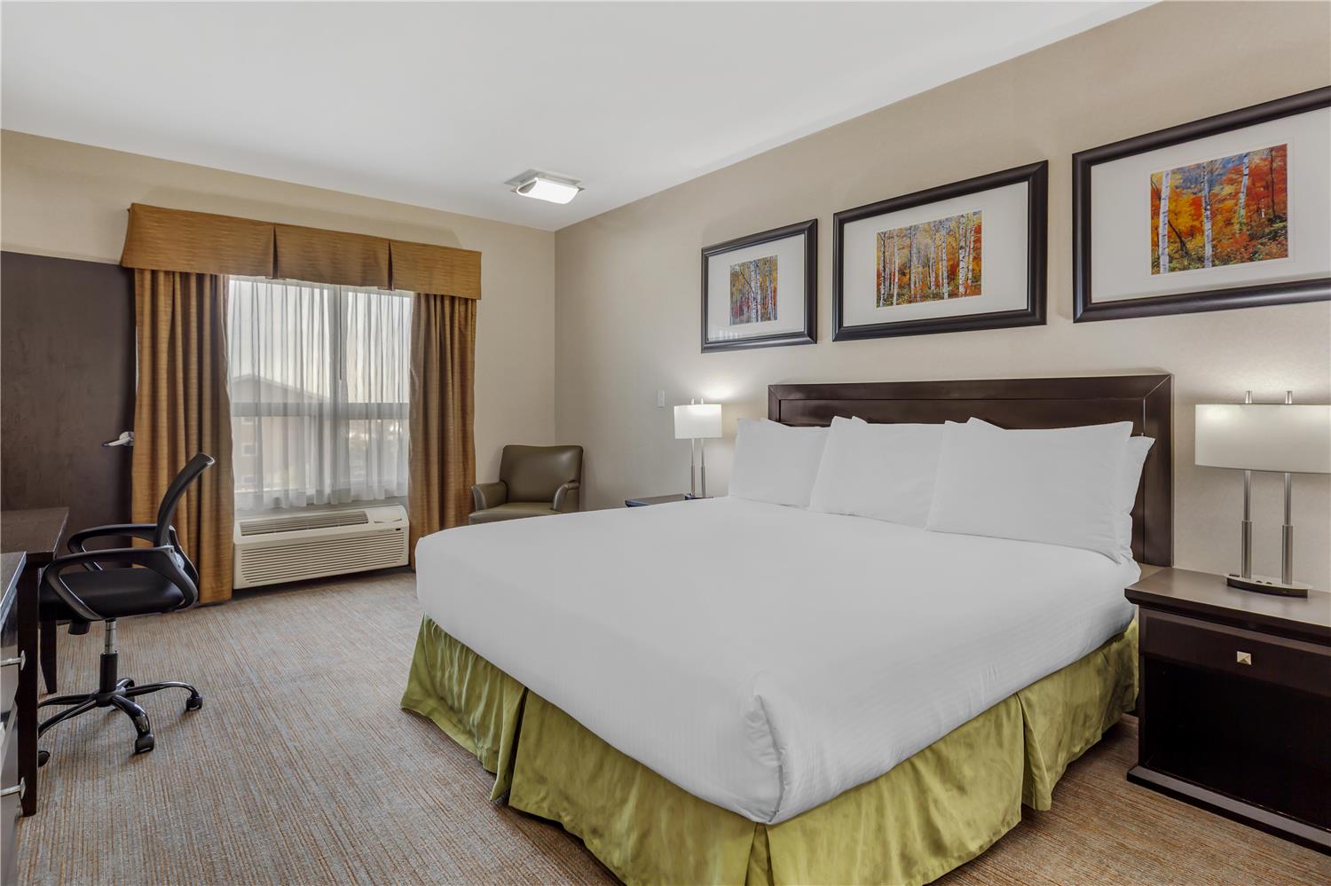 Best Western Wainwright Inn & Suites | Rooms & Rates