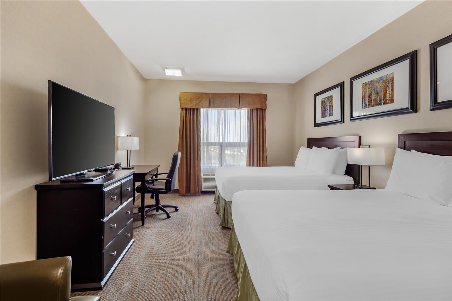 Best Western Wainwright Inn & Suites | Rooms & Rates