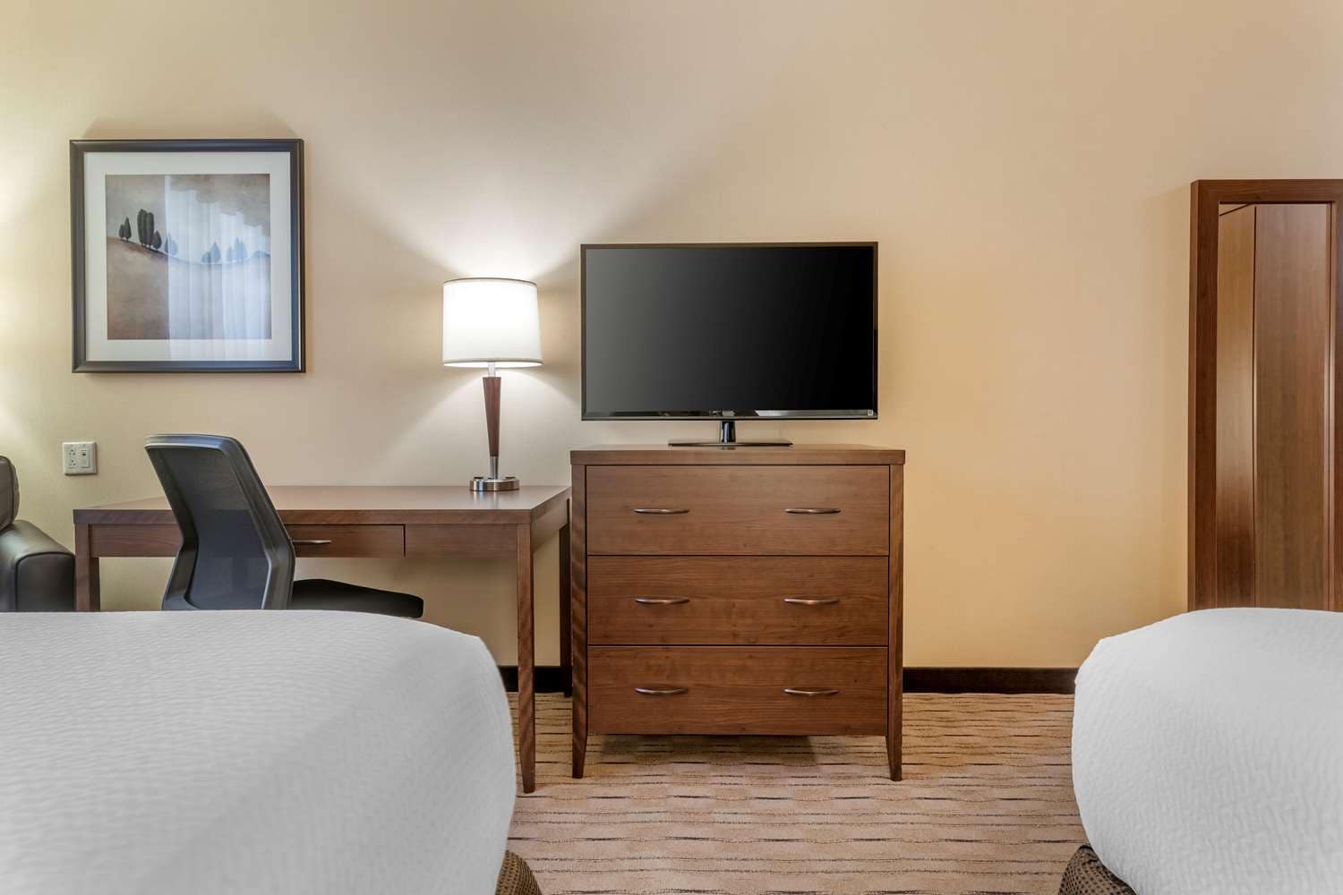 Best Western Plus Bathurst Hotel & Suites | Rooms & Rates
