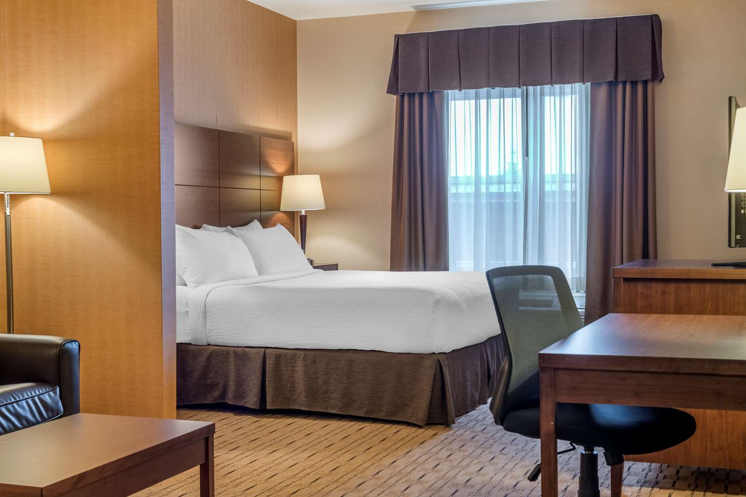Best Western Plus Bathurst Hotel & Suites | Rooms & Rates