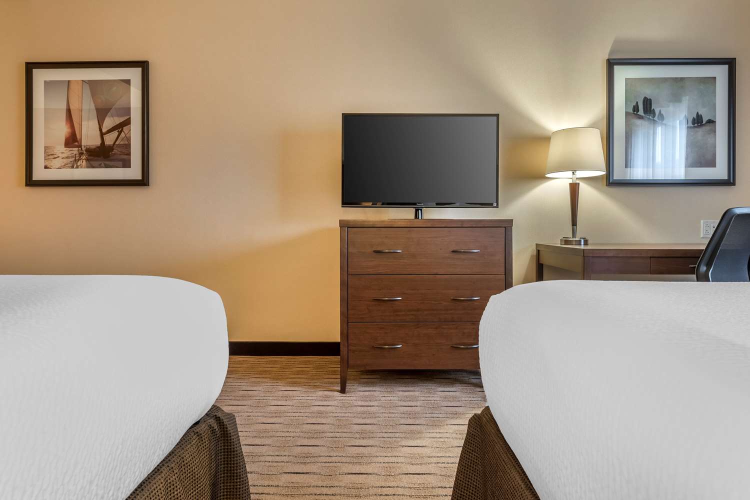 Best Western Plus Bathurst Hotel & Suites | Rooms & Rates