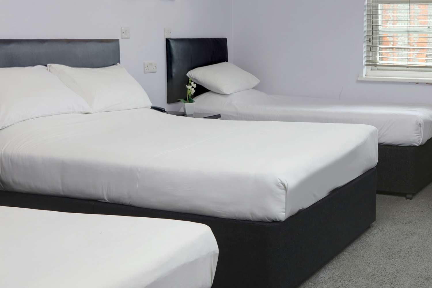 Sure Hotel by Best Western Reading. | Rooms & Rates
